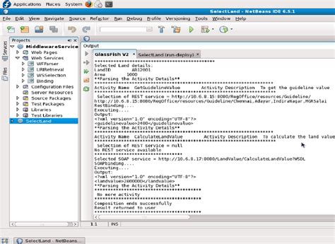 Server Log Of Composer Process During The Execution Of Download