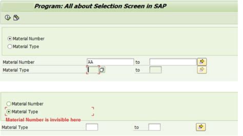 Selection Screen In Sap Elearning Solutions