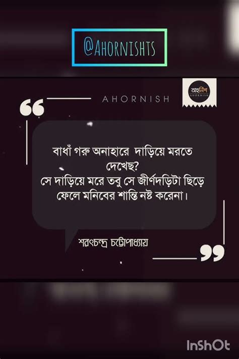 Bengali Quotes উপন্যাস উক্তি শরৎচন্দ্র চট্টোপাধ্যায় Youtube