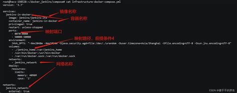 Jenkins基础篇 Docker容器部署jenkins Docker Csdn博客