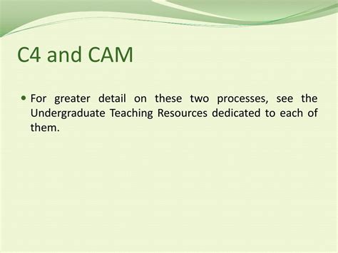 PPT Contrasting C C And CAM Photosynthesis Overview PowerPoint Presentation ID