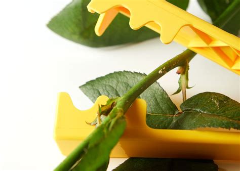 필수 도구 장미 가시제거기