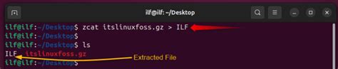 How To Unzip A Gz File Without Removing The Gzipped File Its Linux Foss