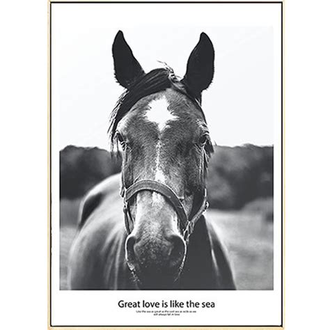 骏马英文马头黑白北欧现代简约装饰画书房客厅餐厅玄关样板间挂画 虎窝淘