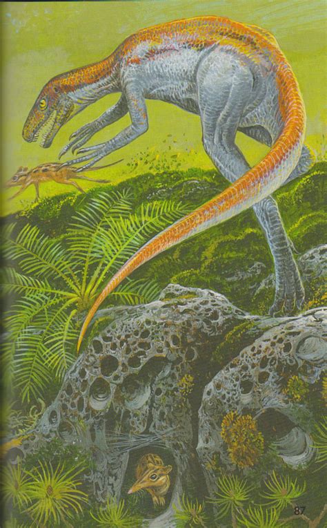 Vintage Dinosaur Art Dinosaurs St Martins Press Part 1 Love In