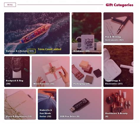 show product categories count using bricks filter hook brickslabs