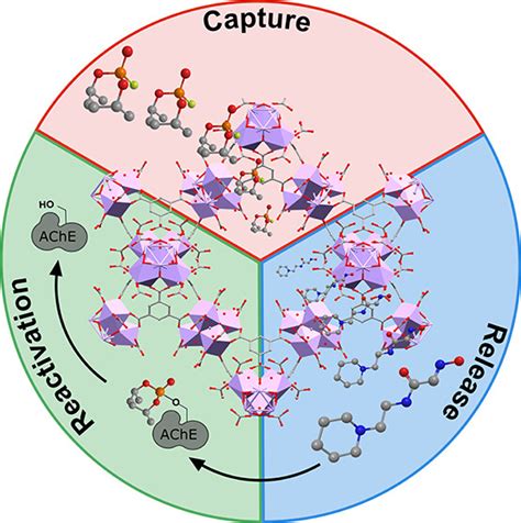 Materials Towards Bioapplications Francisco J Carmona