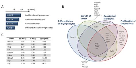 Gene expression changes specific for Runx deletion in Eµ Myc lymphoma Download Scientific