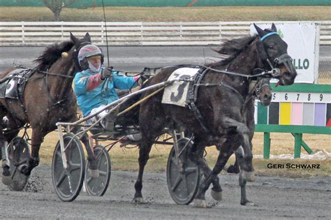 Pierre Bovay Takes Open Trot With Emma Town Bud Monticello Raceway