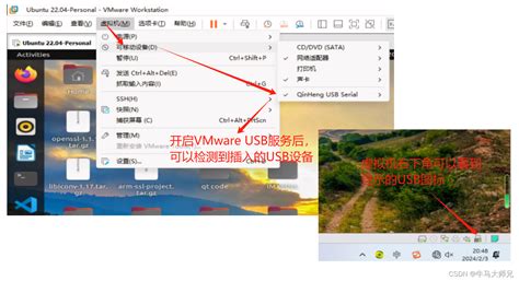 vmware无法检测到插入的usb设备，虚拟机插拔usb无反应 linux 牛马大师兄 华为开发者空间