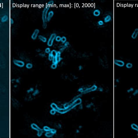 A Good Sim Reconstruction Has Reconstruction Artifacts Only Of