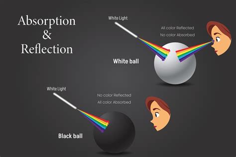 Absorption And Reflection Understanding Light Interaction With Different Surfaces 56783455