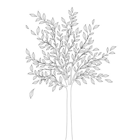 Premium Vector Tree With Leaves Outline On White Background Vector