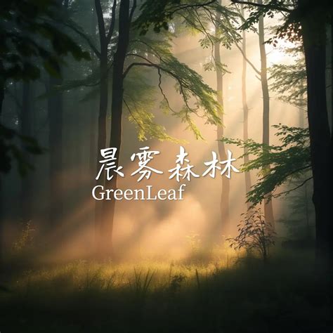 seede ai simple fast and fun ai graphic design for everyone