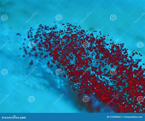 Detailed Macro Photo Of Black Mold Aspergillus Fumigatus Fungus Close