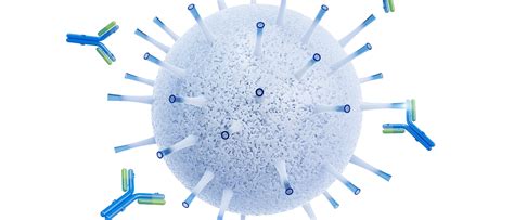 Affinity Chromatography Resins For Protein Purification