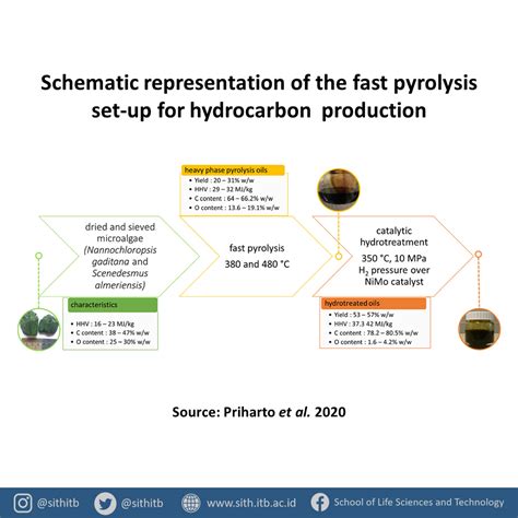 Did You Know That Microalgae Could Also Become A New Source Of Energy An Interesting Paper From