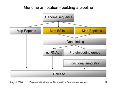 ppt genome annotation powerpoint presentation free download id 2938200