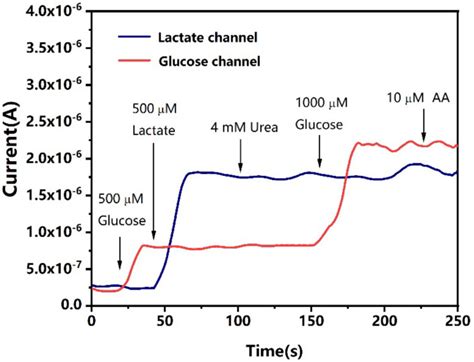 A Flexible Dual Analyte Electrochemical Biosensor For Salivary Glucose And Lactate Detection Pmc