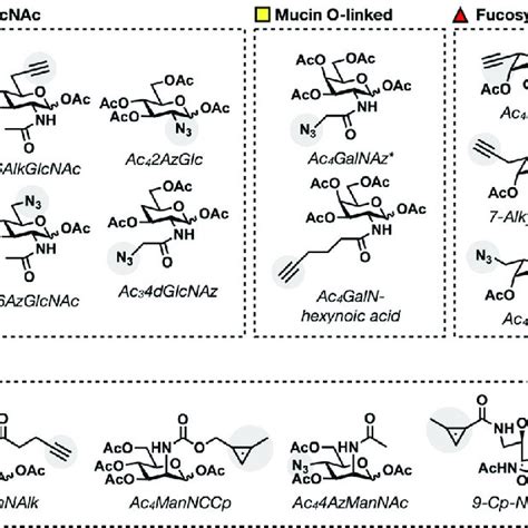 A Common Mammalian Monosaccharide Building Blocks And Their Geometric Download Scientific