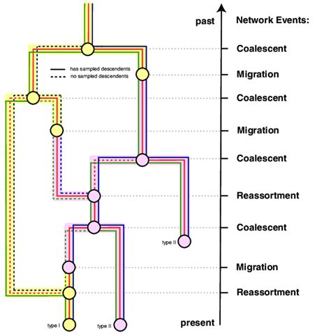 example score network network has two types subpopulations and three