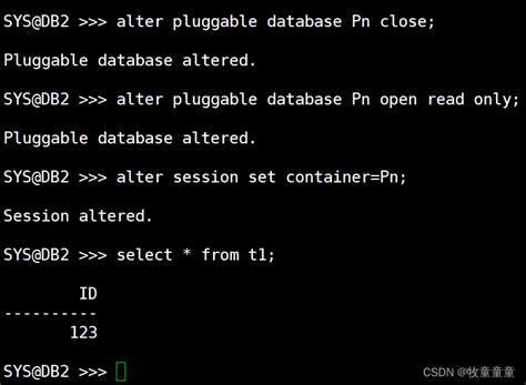 Oracle Pdb Csdn博客