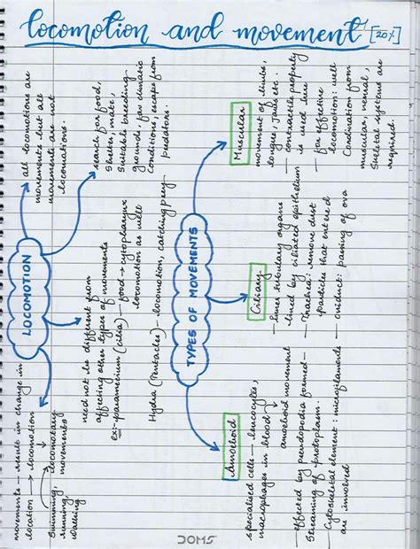 Solution Locomotion And Movement Mind Map Studypool