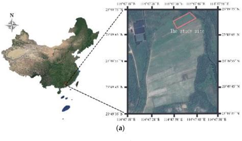 Figure 1 From Detection Of Citrus Huanglongbing Based On Multi Input