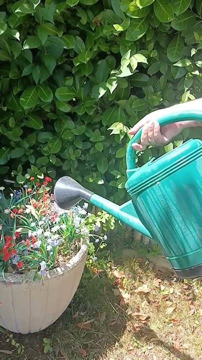 4th Pchit Pchit Youtube