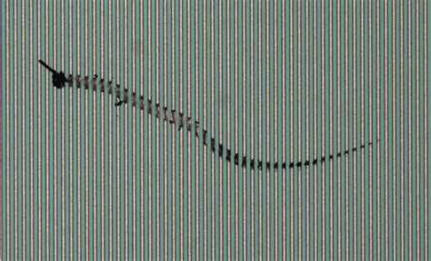10 A Scratch Defect Detected With The Texture Matching Algorithm