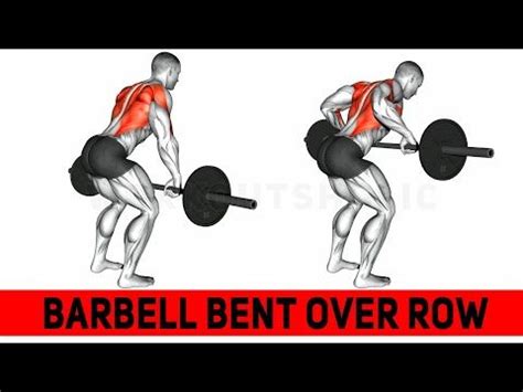 Barbell Bent Over Row Exercise Tutorial Barbell Workout Videos Back