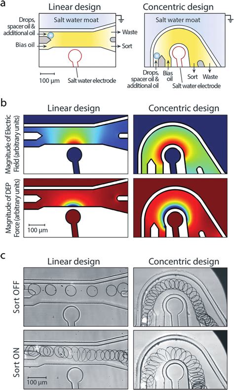 Design And Modeling Of The Dielectrophoretic Droplet Sorters A