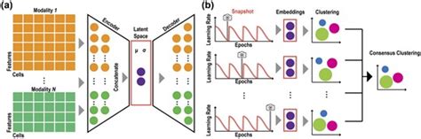 Ensemble Deep Learning Of Embeddings For Clustering Multimodal Single