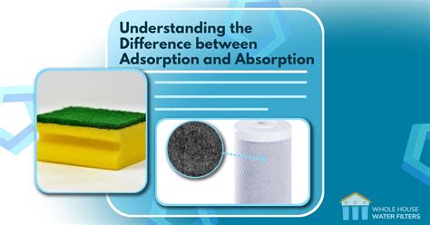Adsorption Vs Absorption Understanding The Difference And Examples • Whole House Water Filters