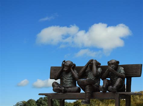 Uninformed Optimism Wise Optimism And The Entrepreneurial Mindset In