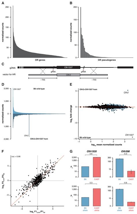 Figures And Data In Variation In Olfactory Neuron Repertoires Is