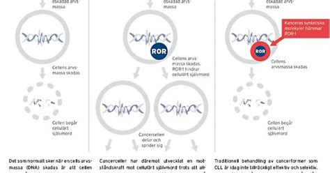 Kancera Ror1 Fk Cancer Album On Imgur