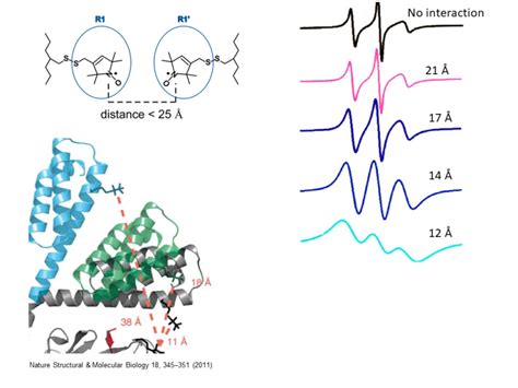 Epr Electron Paramagnetic Resonance Spectroscopy Sip Shared Instruments Pool In The