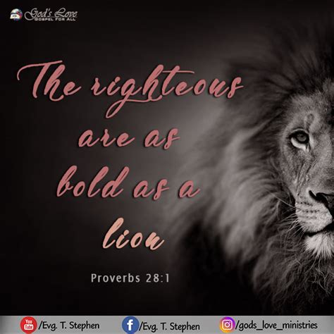 Proverbs 28 1 Gods Love Ministries Todays Promise