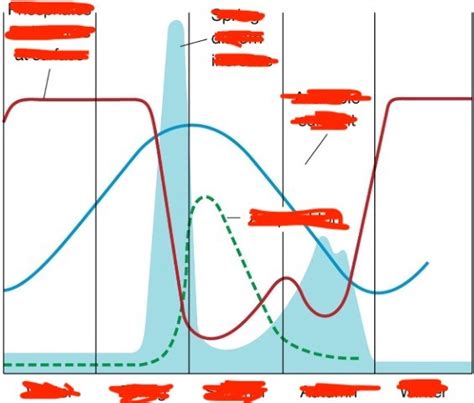 Chapter 11 Graph Diagram Quizlet