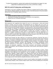 BIO Lab Prokaryotes And Eukaryotes Docx To Submit This Assignment Students Will