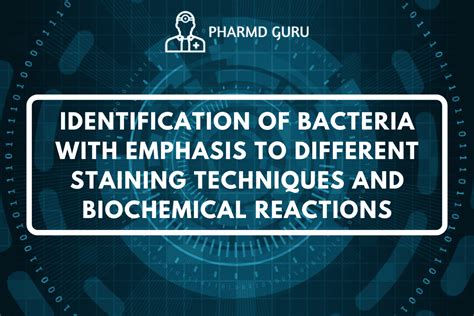 10 Counting Of Bacteria Total And Viable Counting Techniques Pharmd