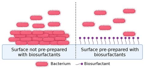 Exploring Biosurfactants As Antimicrobial Approaches