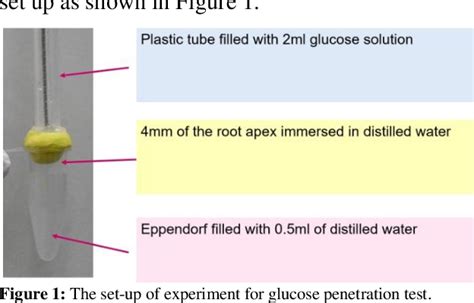 Figure 1 From Apical Sealing Ability Of Different Endodontic Sealers Using Glucose Penetration