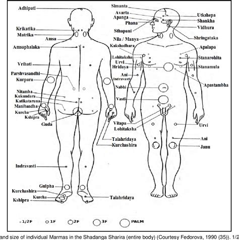 Figure 1 From Exploring The Science Of Marma An Ancient Healing