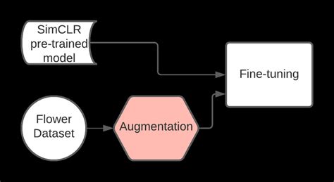 data augmentation operations are applied to flower data set before