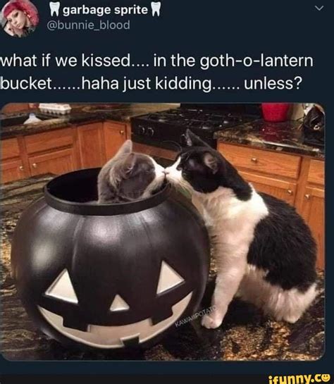 Garbage Sprite What If We Kissed In The Goth O Lantern Bucket Garbage Sprite What If We Kissed In The Goth O Lantern Bucket