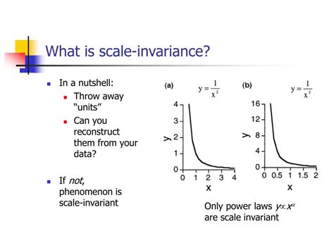 Ppt Scale Invariance In Cognition Powerpoint Presentation Free Download Id737462