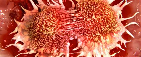 Okay Here Are A Few Options For An Seo Meta Title For The Post Common Viruses May Wake Dormant