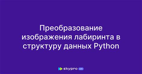 Преобразование изображения лабиринта в структуру данных Python